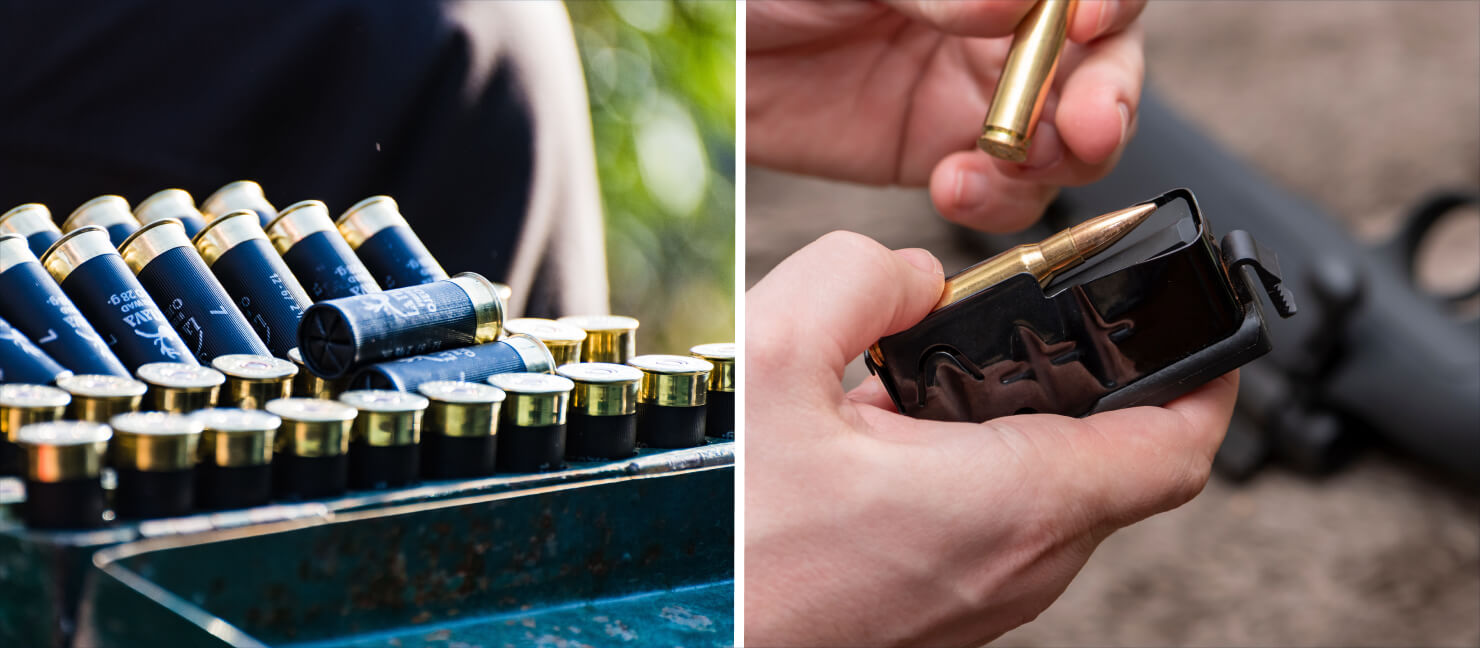 Shotguns vs Rifles: Comparing Ammo, Bore Walls, & More | Academy