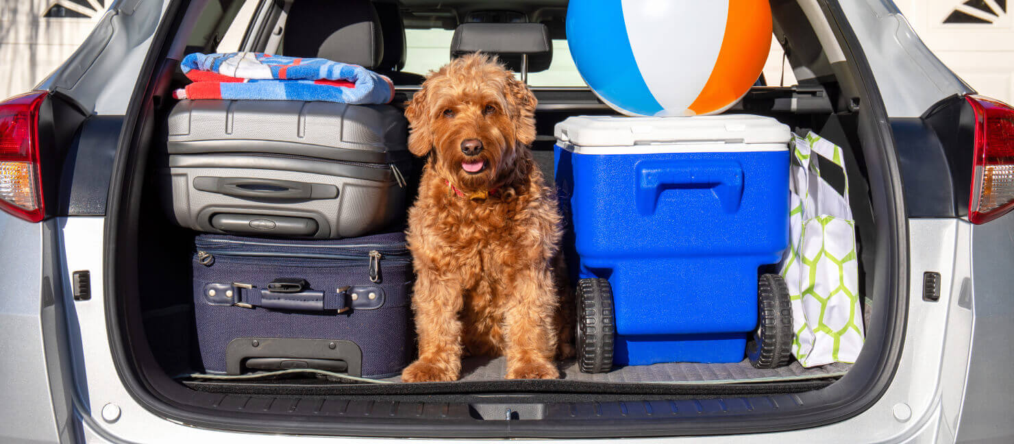 The Ultimate Beach Packing List for Rain or Shine | Academy