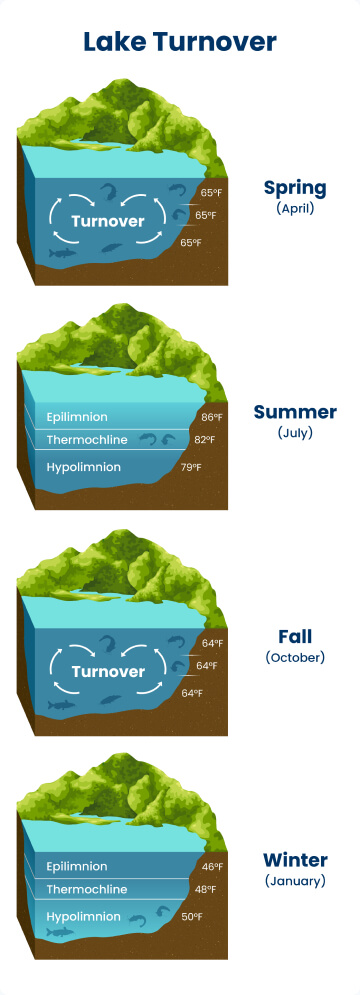 The Best Time to Go Fishing | Academy