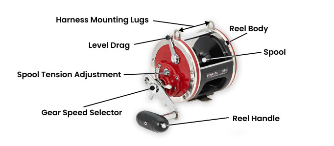 5 Types of Fishing Reels to Catch More Fish | Academy