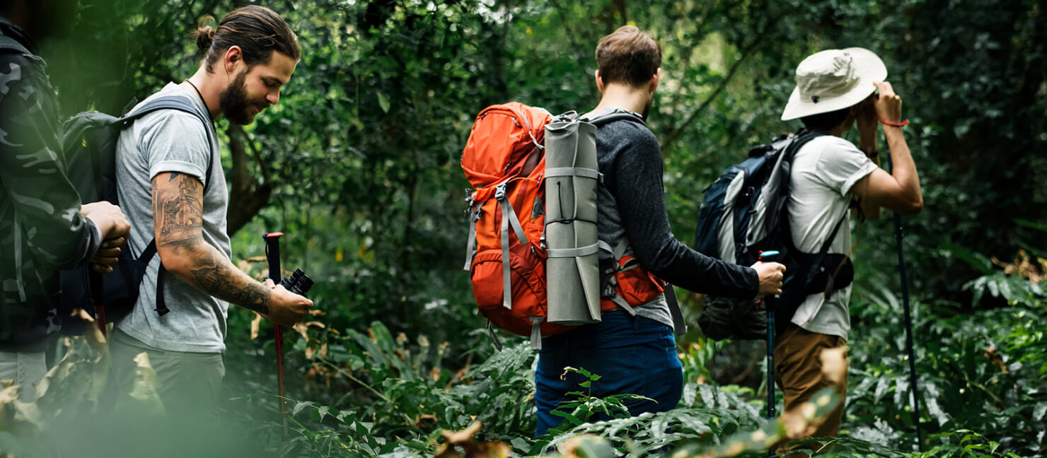 6 Tips for Planning a Hiking Trip: Guide, Gear, & More | Academy