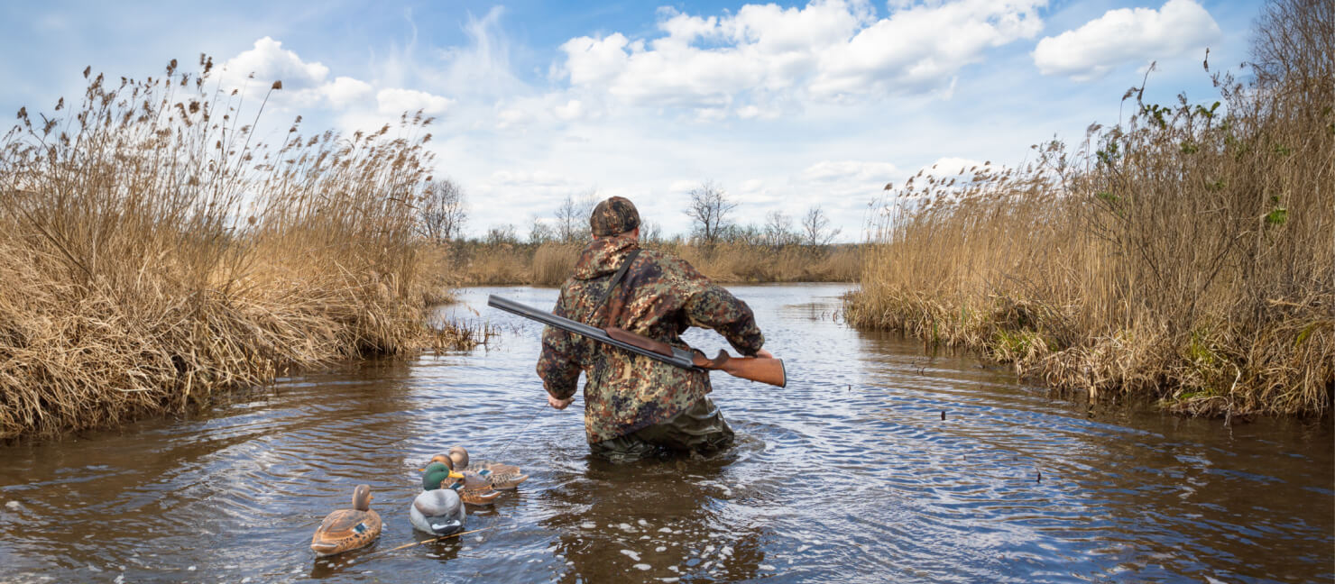 The Best Shot Size for Duck Hunting | Academy