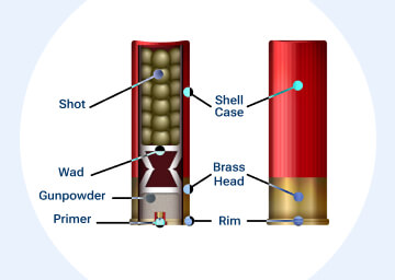The Best Shot Size for Duck Hunting | Academy