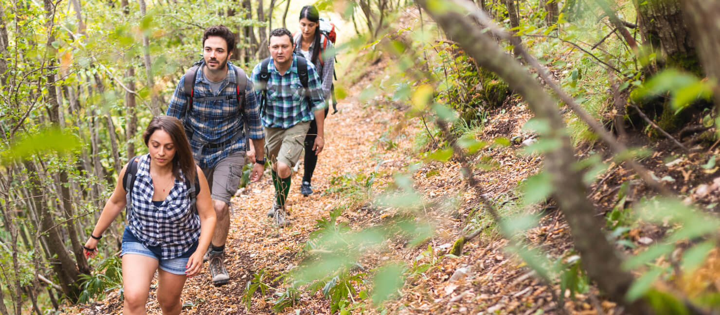 Hiking for Beginners: What It Is, Getting Started, & Tips | Academy