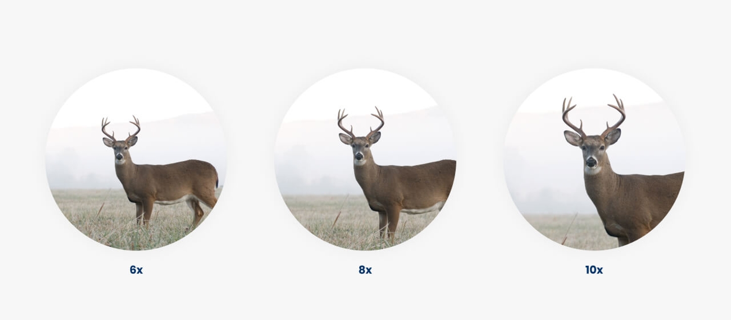 How to Choose Binoculars for Bird Watchers, Hunters, Boaters, and More ...