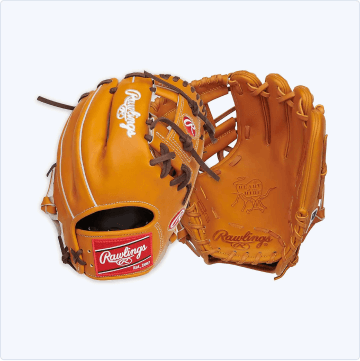Infield vs Outfield Gloves | Academy