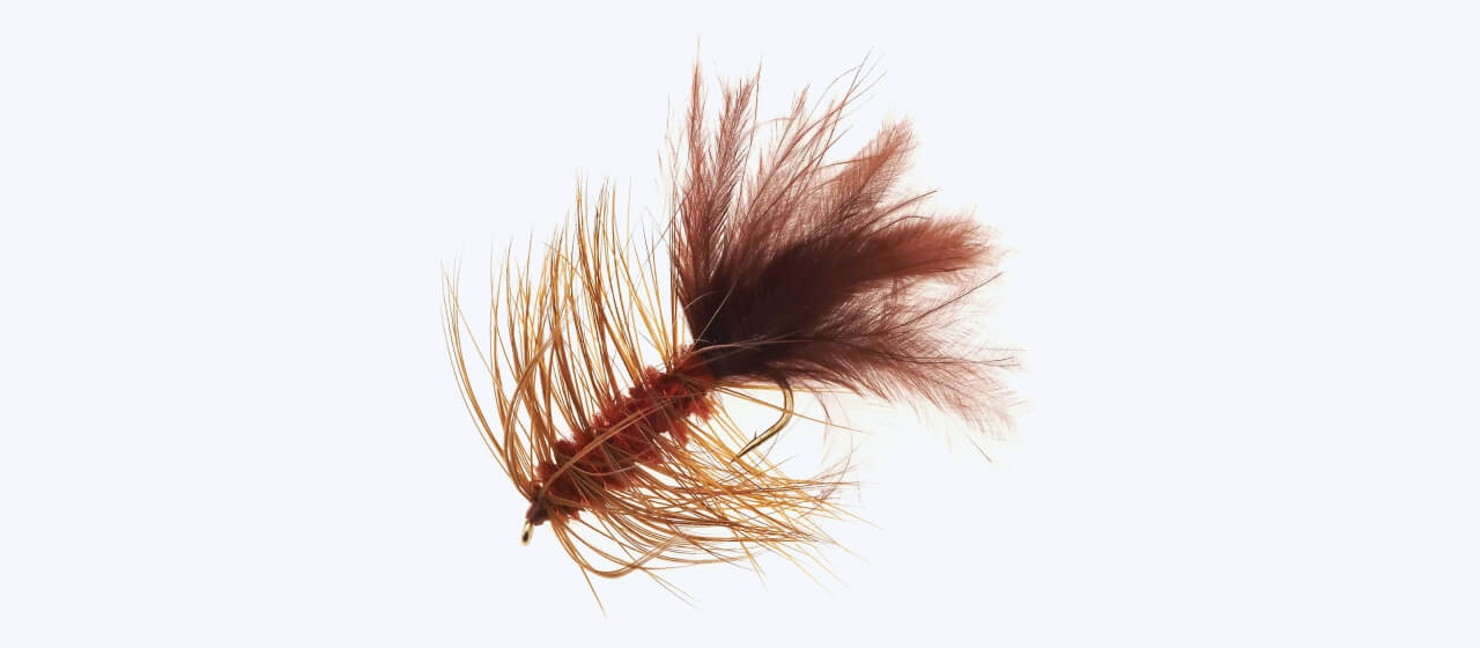 11 Essential Fly Fishing Gear for Beginners | Academy