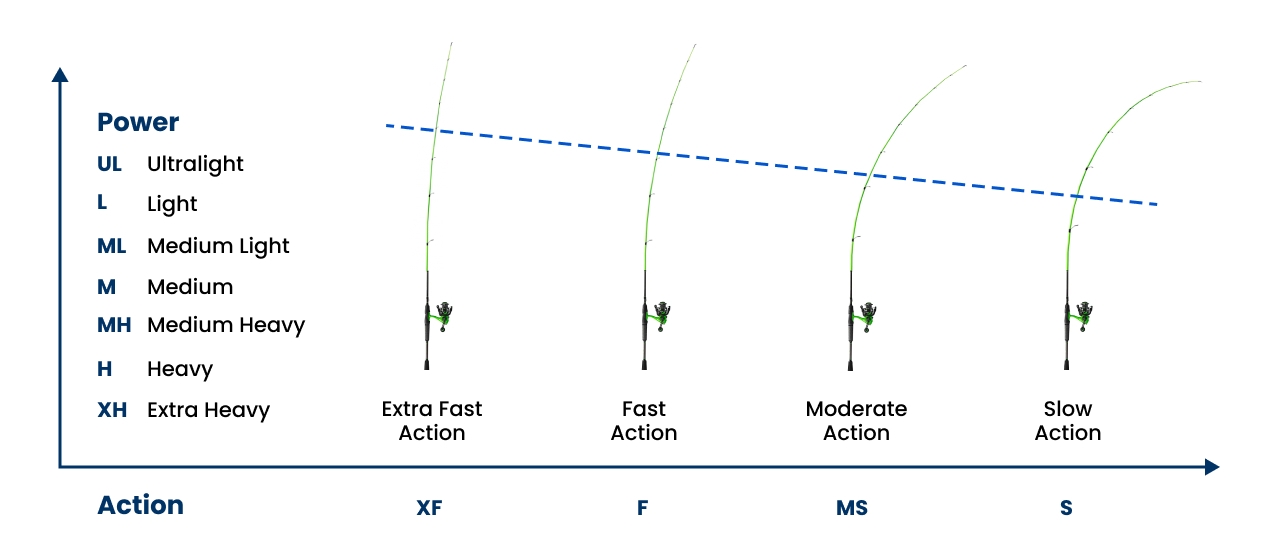 8 Best Types of Fishing Rods Every Angler Should Know | Academy