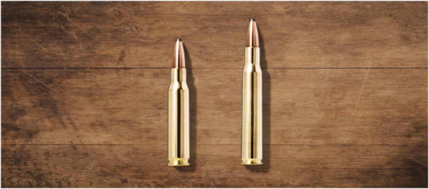The .308 vs .30-06: Bullet Specs, Uses, and More | Academy Sports
