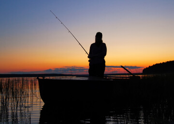Fishing Lure Color Selection Chart | Academy