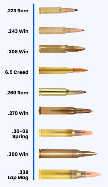 .308 Win vs .300 Win Mag: Ballistics, Pros & Cons, and More | Academy