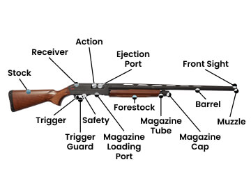 Parts of a Shotgun: A Complete Guide to How It Works | Academy