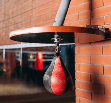 Types of Punching Bags | Academy