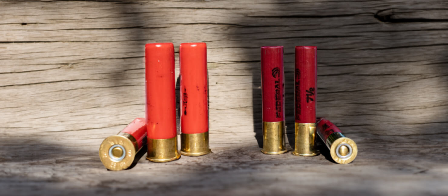 28 Gauge vs 410 Bore Shotgun Shells | Academy