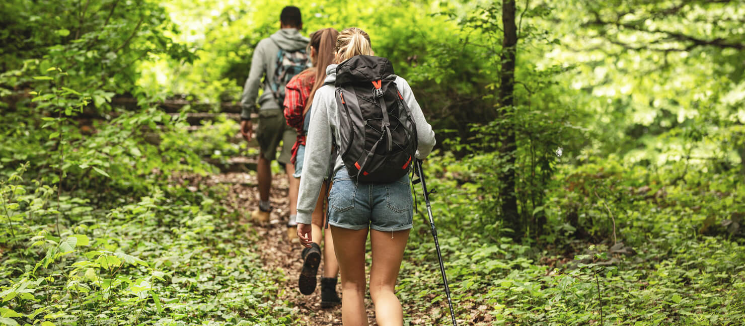Hiking vs Trekking: Discover the Differences & More | Academy