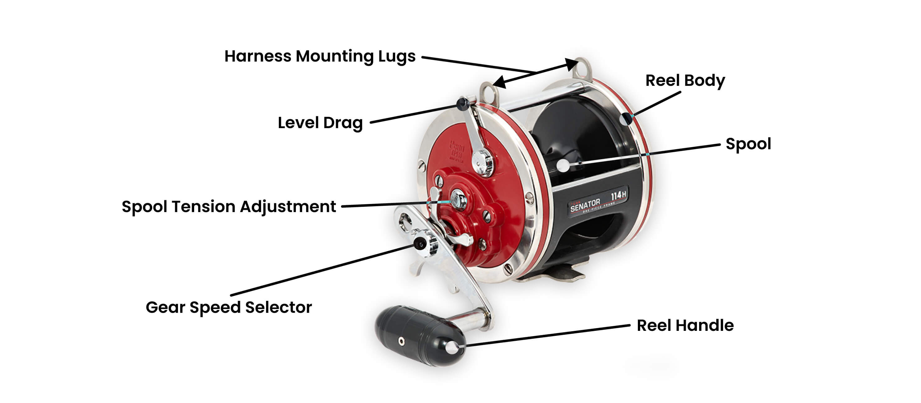 5 Types of Fishing Reels to Catch More Fish | Academy