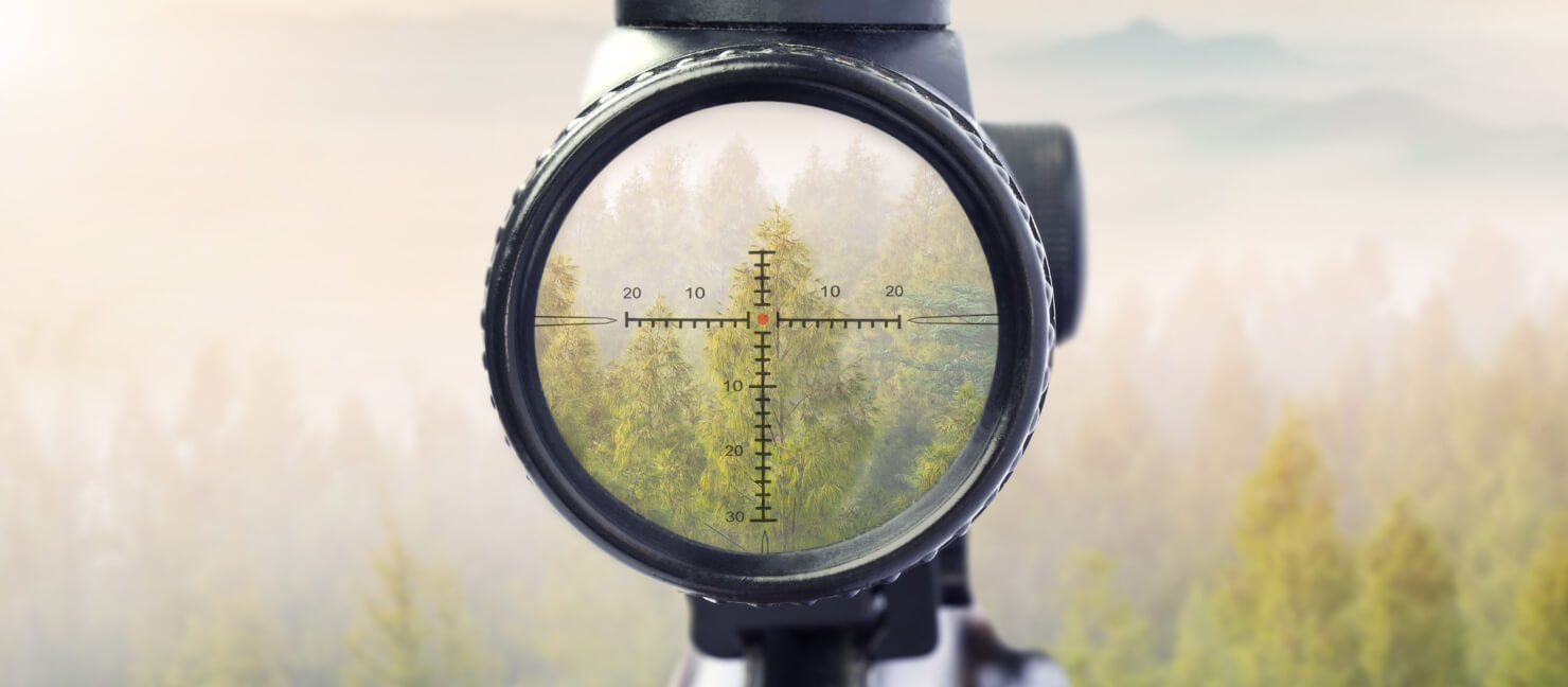 What Are Scope Reticles? Learn the Types & More | Academy