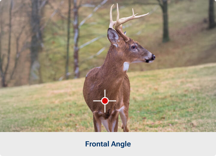 Where to Shoot a Deer: Shot Placements from Any Angle | Academy