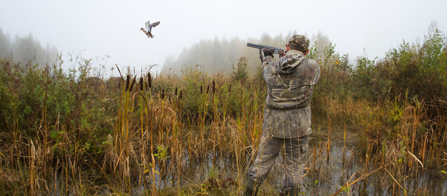 The Best Shot Size for Duck Hunting | Academy