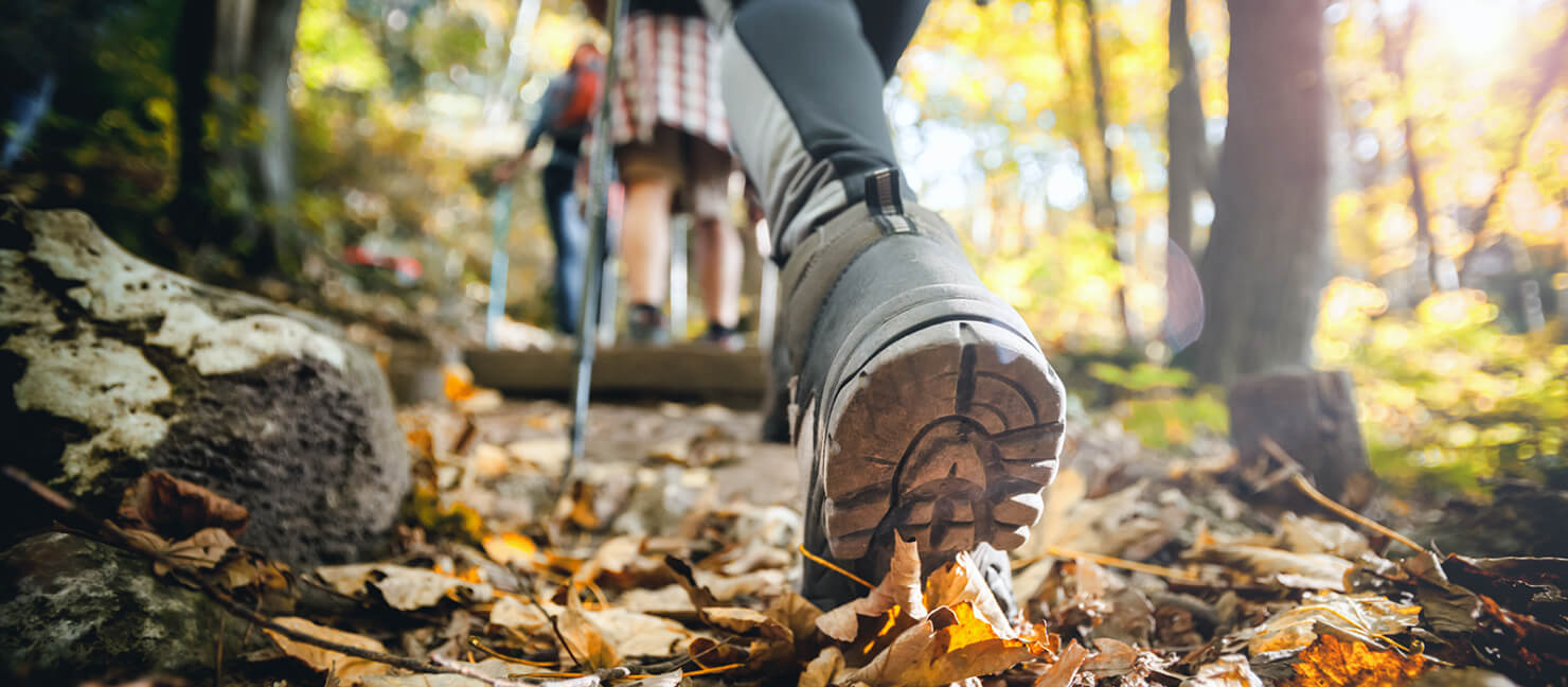 6 Tips for Planning a Hiking Trip: Guide, Gear, & More | Academy