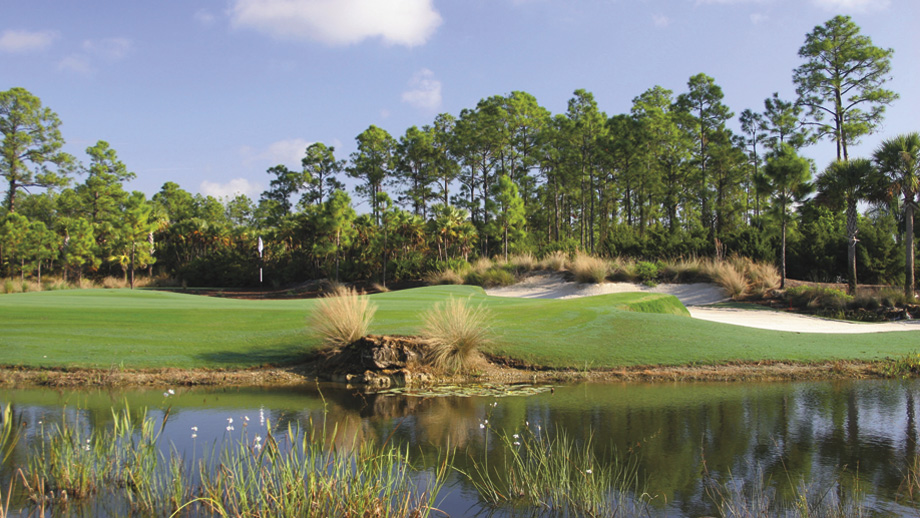 Black Course at Tiburon Golf Club, Naples, Naples - Book a golf holiday ...
