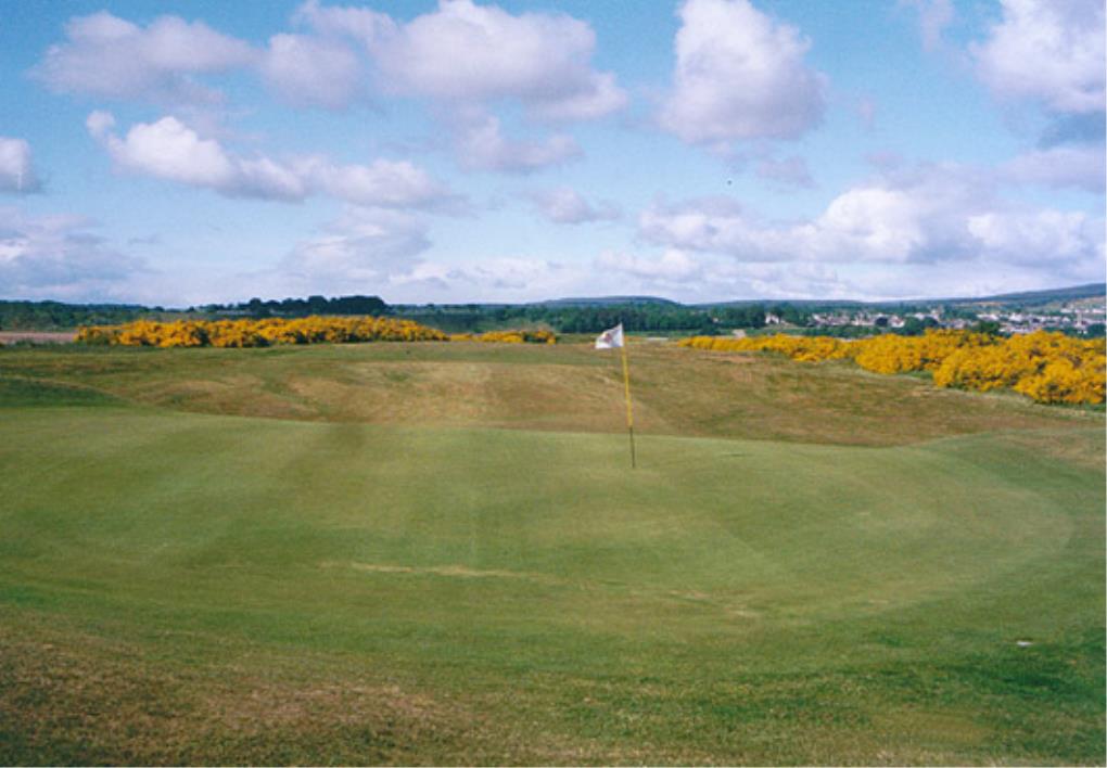 Tain Golf Club, Highlands - Book a golf break or golf holiday