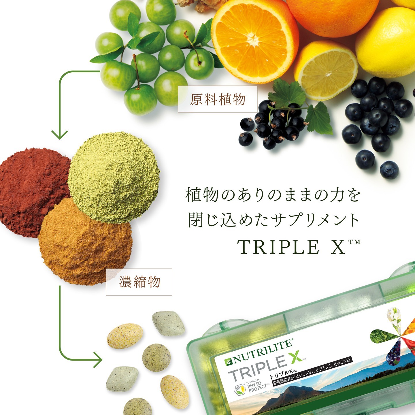 トリプルX™ | amwaylive