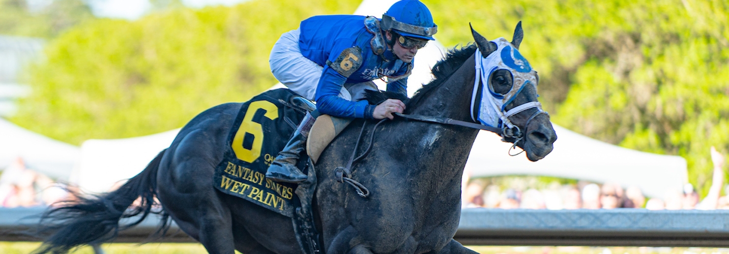 Godolphin Farm Family Rooting for Distaff Contender Wet Paint