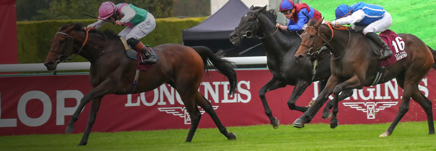 BLUESTOCKING JUSTIFIES SUPPLEMENT WITH ELECTRIC PRIX DE L’ARC DE ...