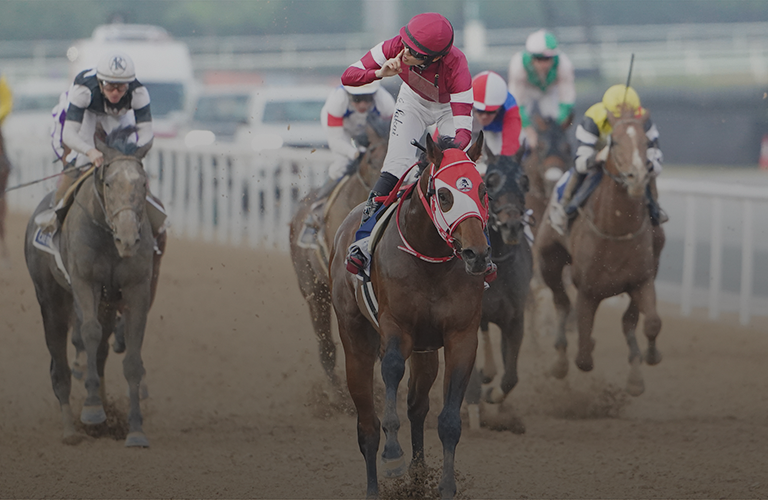 Breeders' Cup Announces International Challenge Series Schedule for 2026