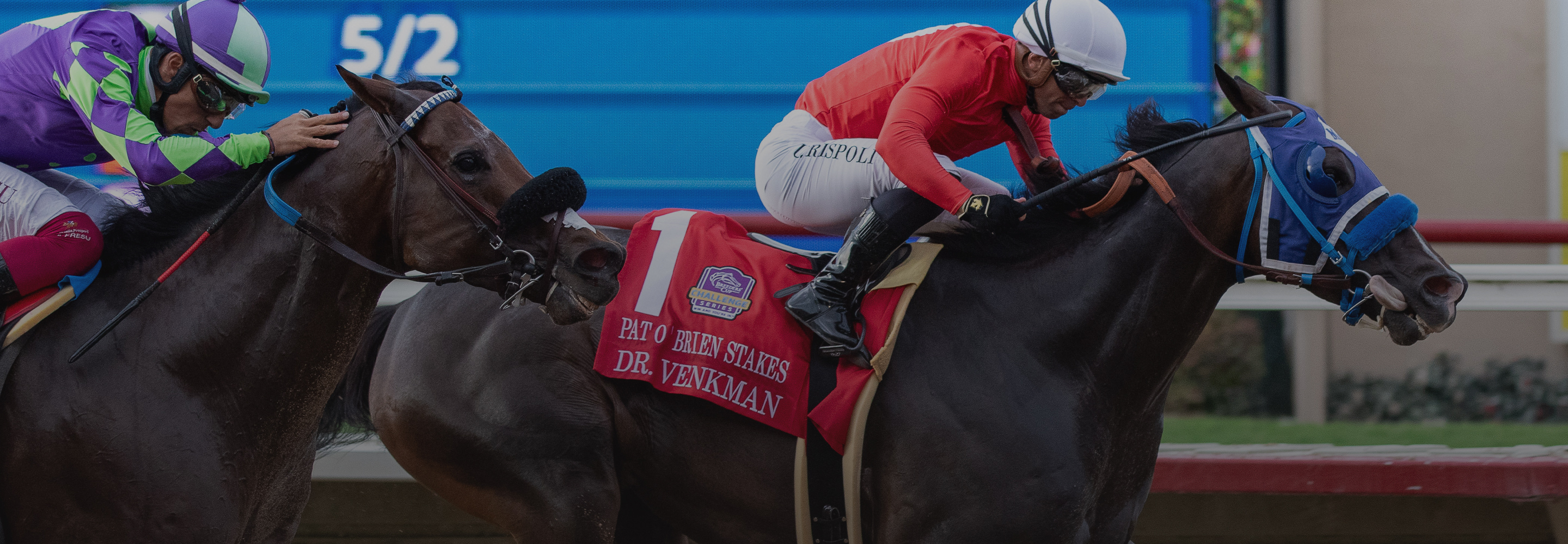 Dr. Venkman Rides Rail Path to Win Pat O'Brien