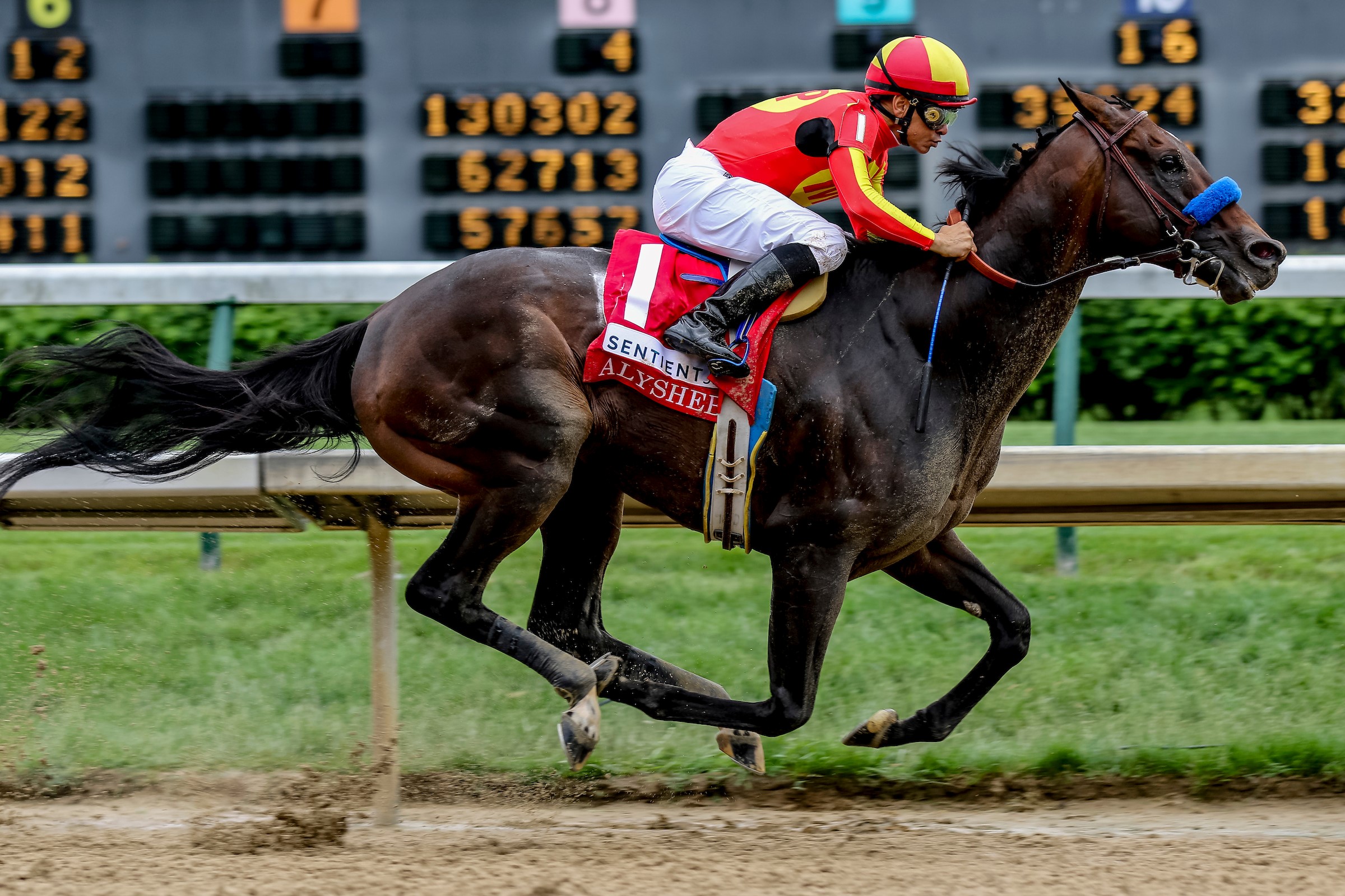Outstanding Field Lined up for Whitney from Saratoga Race Course this ...