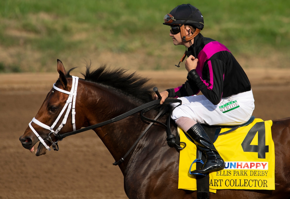 Art Collector Streaking Into the Preakness Art Collector Streaking Into the Preakness
