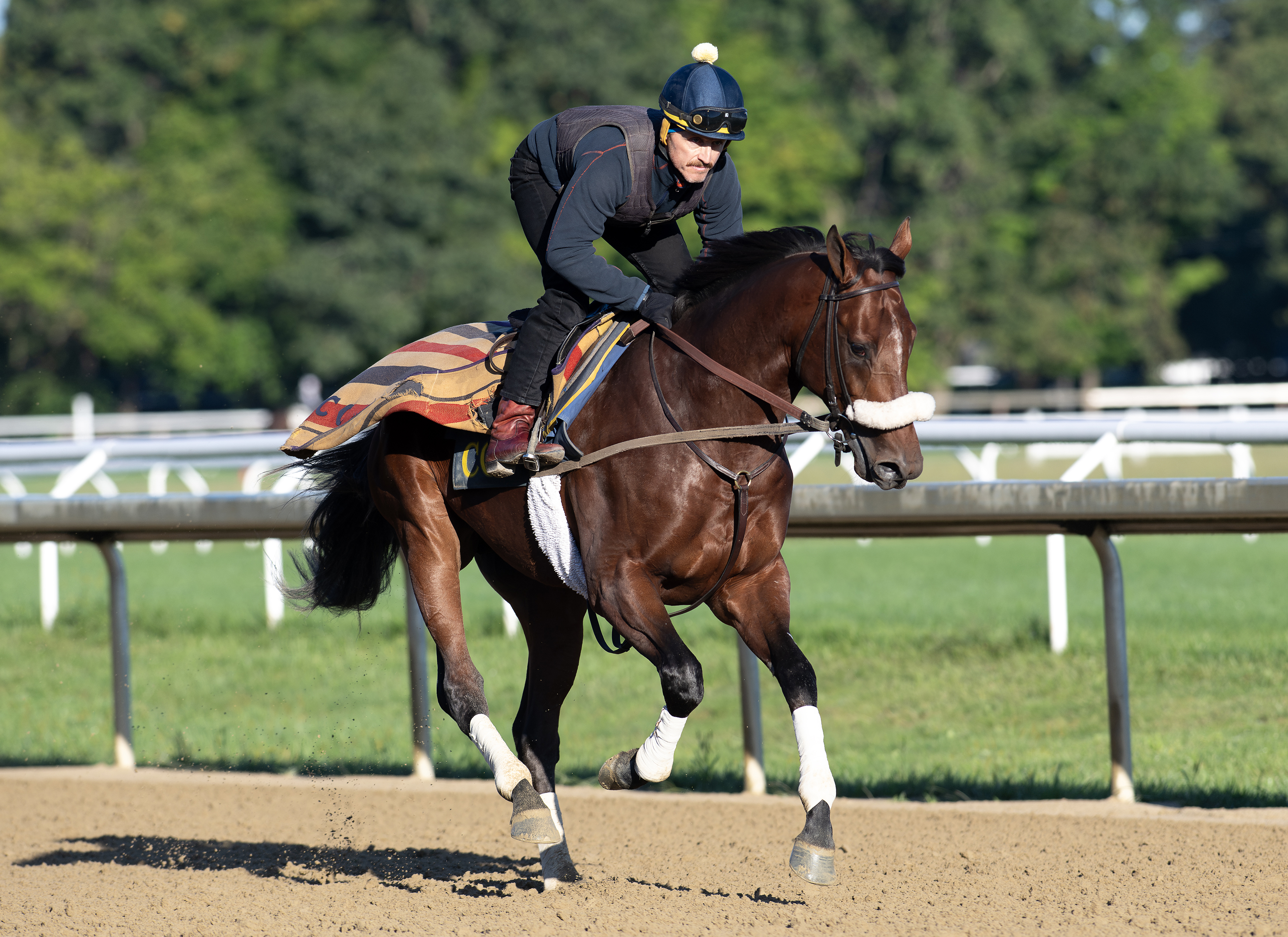Breeders' Cup Connections: Former Jockey Lee Vickers Living for the ...