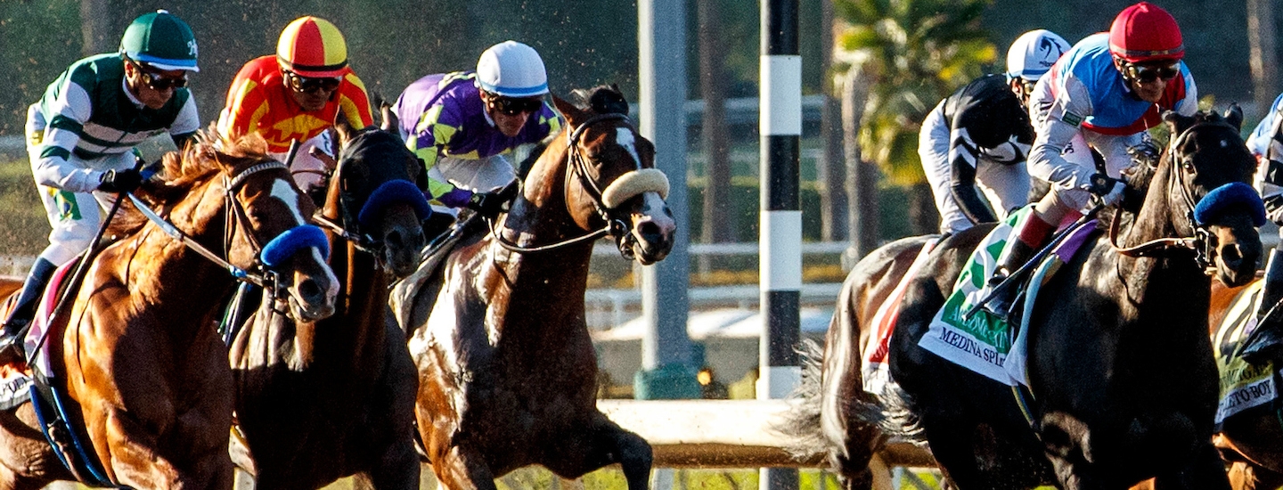 2022 Awesome Again Stakes Cheat Sheet: Get to Know the Horses