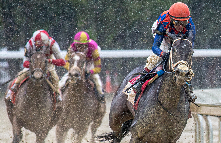 Dorth Vader Springs the Upset in Ogden Phipps