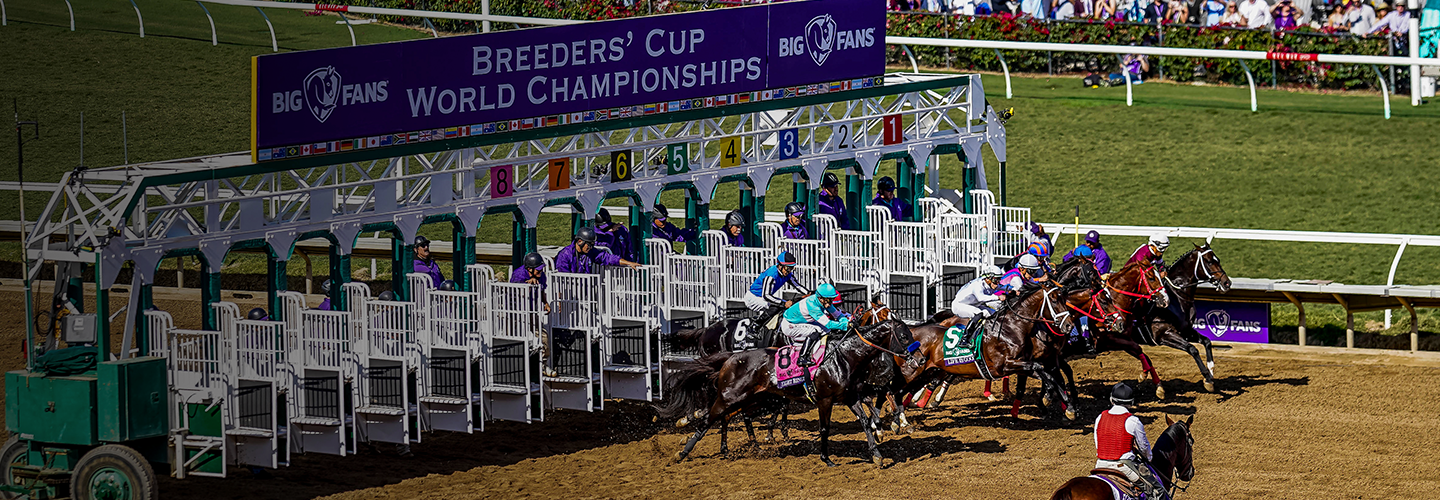 Understanding the Language of Horse Racing: Key Terms, Phrases to Know ...