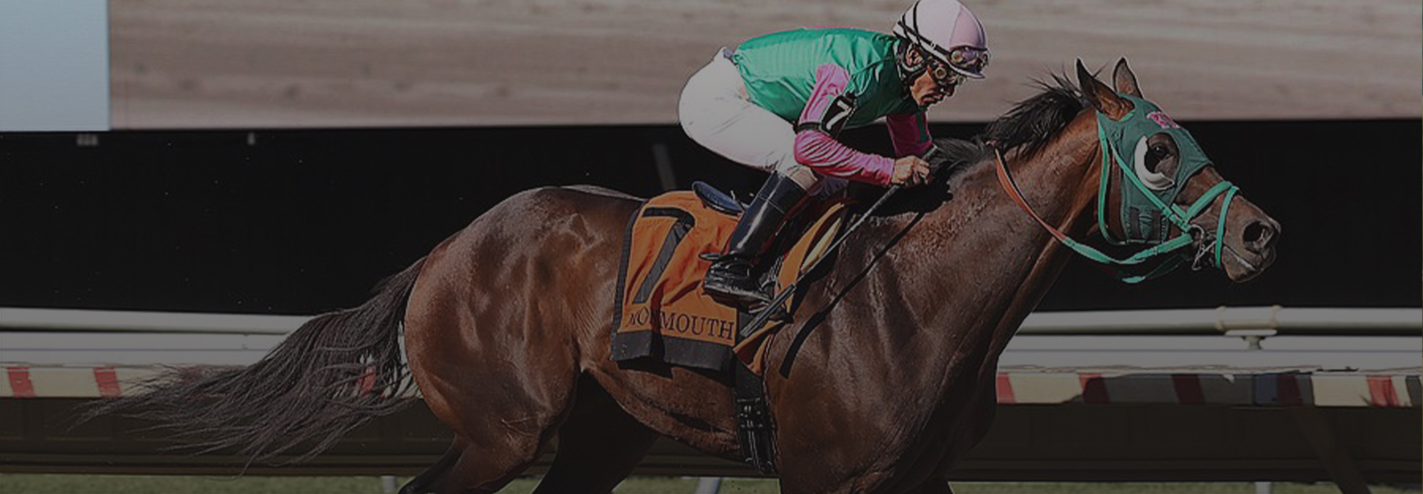 Meet the Couple Behind Haskell Runner Kentucky Outlaw