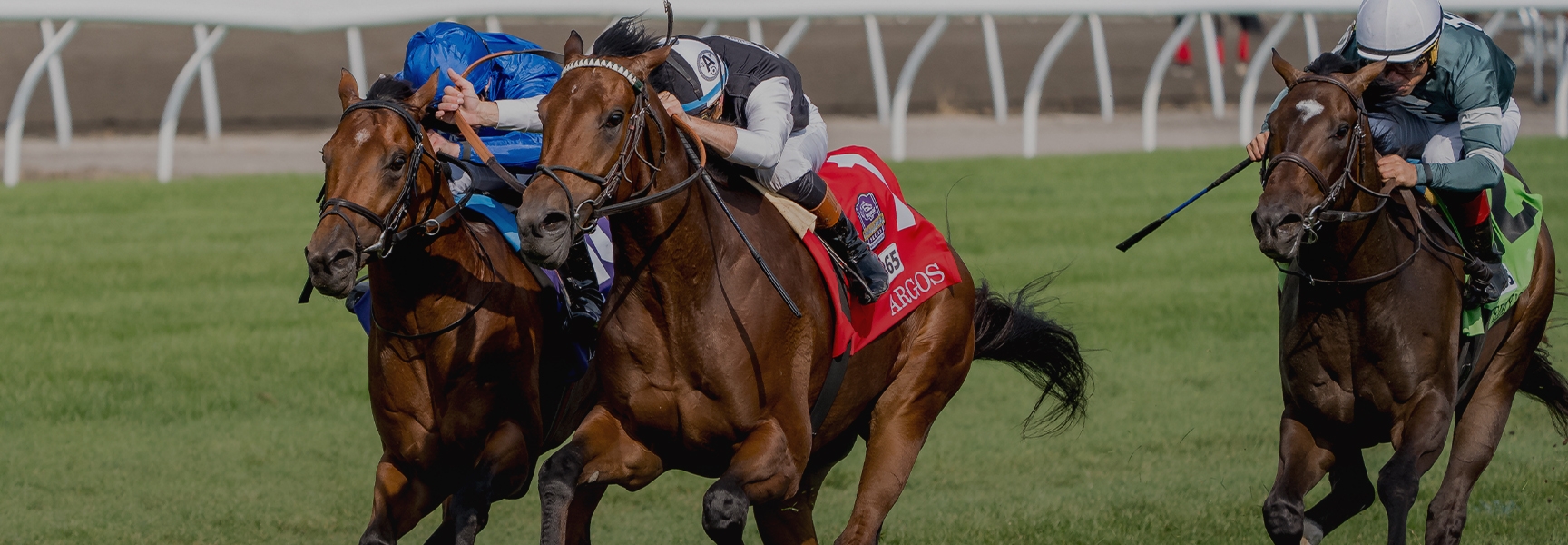 Argos, Corsia Veloce Earn BC Bids in Woodbine Grade 1s