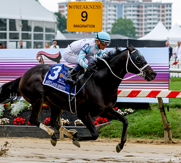 SUPER CHOW SHINES IN MARYLAND SPRINT