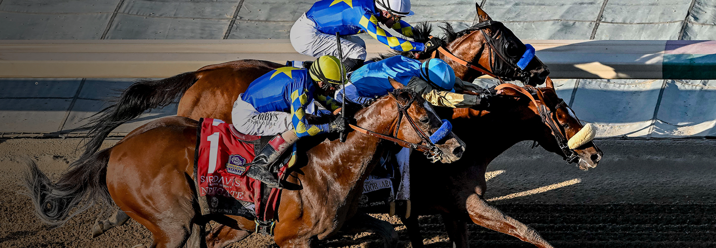 CALIFORNIA CROWN WINNER SUBSANADOR ZOOMS TO FIFTH PLACE IN LONGINES ...