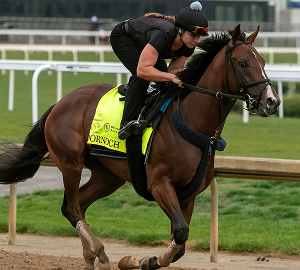 Breeders' Cup Connections: Schaefer Living the Dream with Dornoch