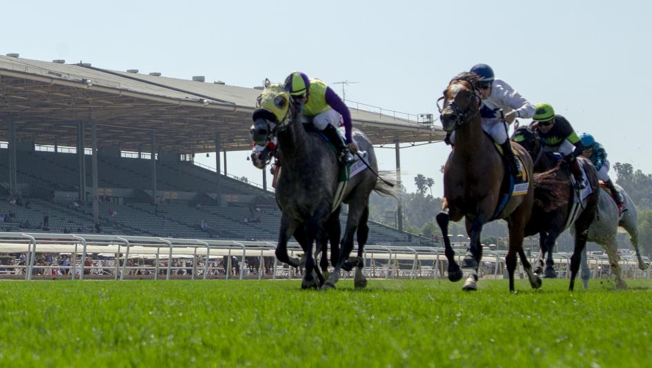 Eight Reasons to Watch the Shoemaker Mile on Memorial Day