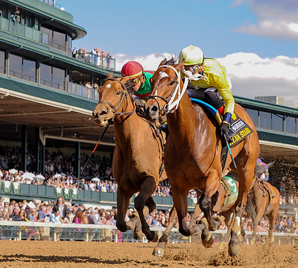 Female Sprinters to Vie in Deep Derby City Distaff