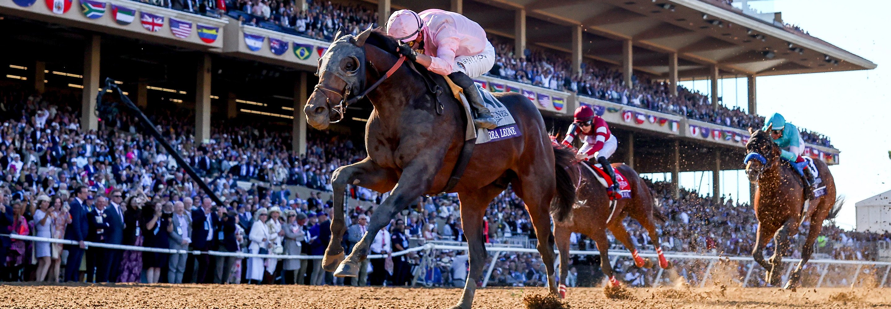 Great Breeders’ Cup Memories from Del Mar