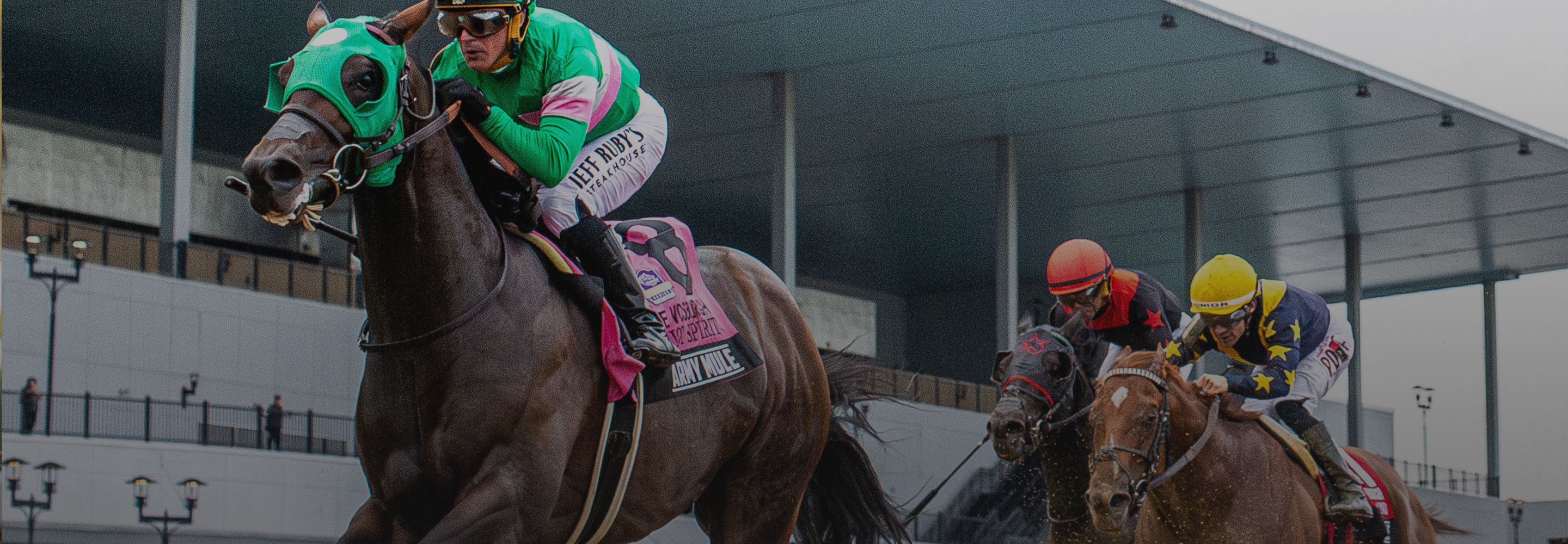Patriot Spirit Rolls to Victory in Vosburgh