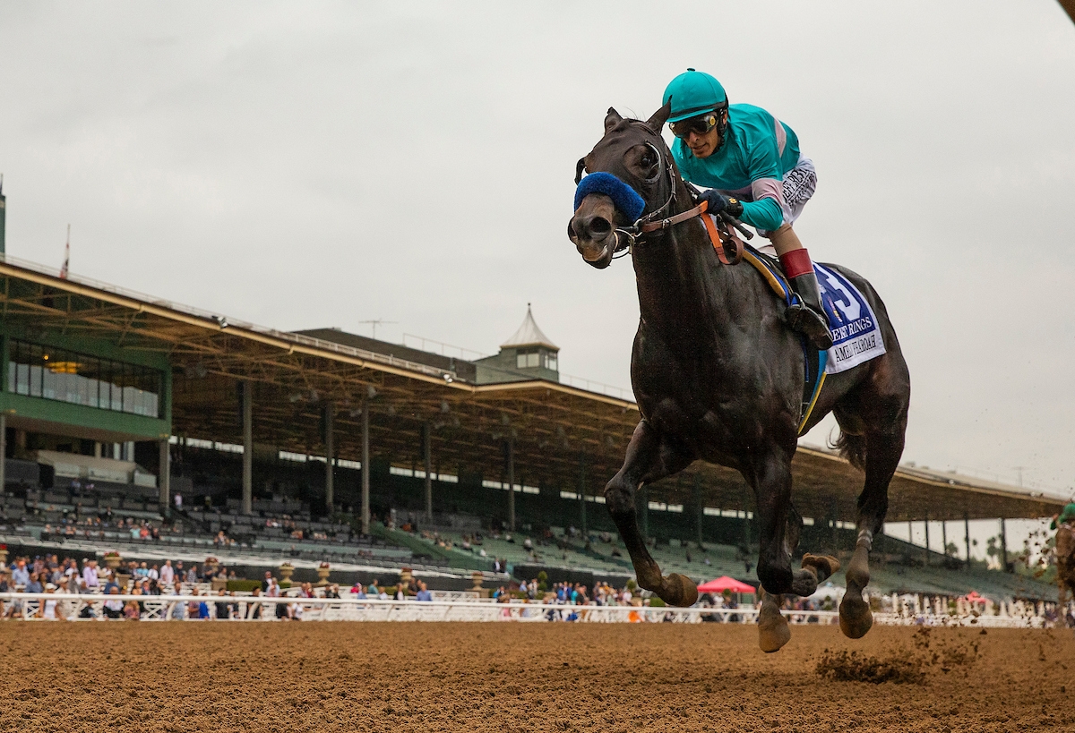 Juvenile Runner Eight Rings Returns in Bachelor