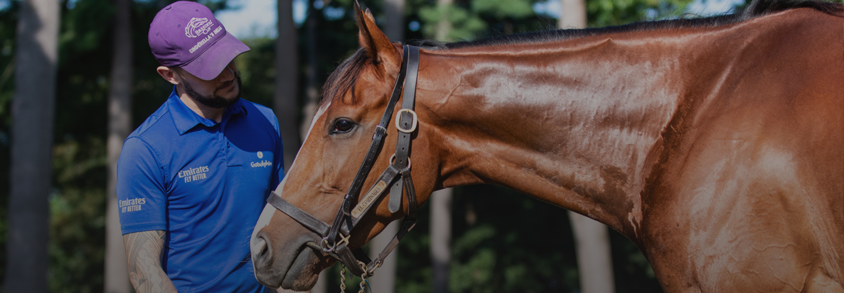 CHEERS TO THE CONNECTIONS