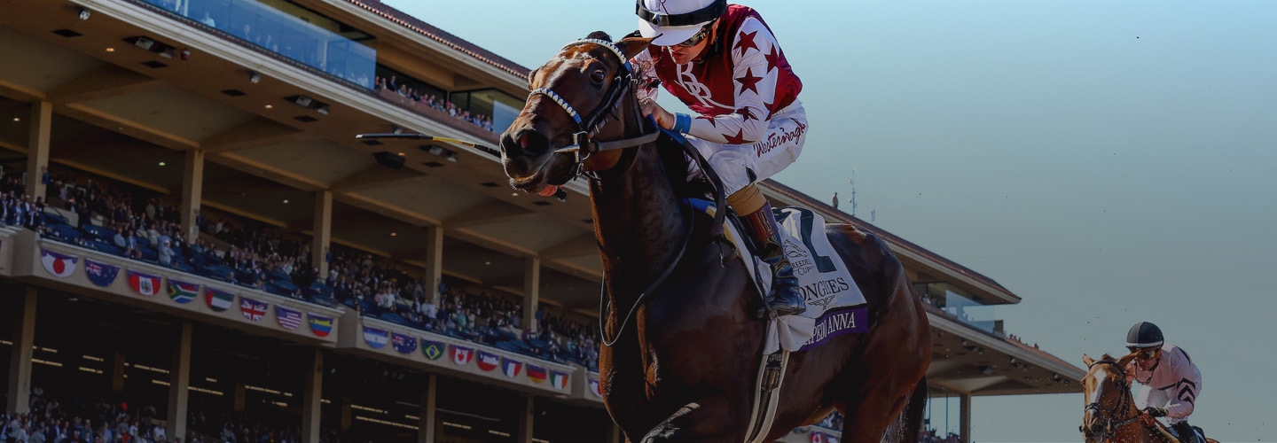 Seismic Beauty Aims to Continue Roll in BC Distaff