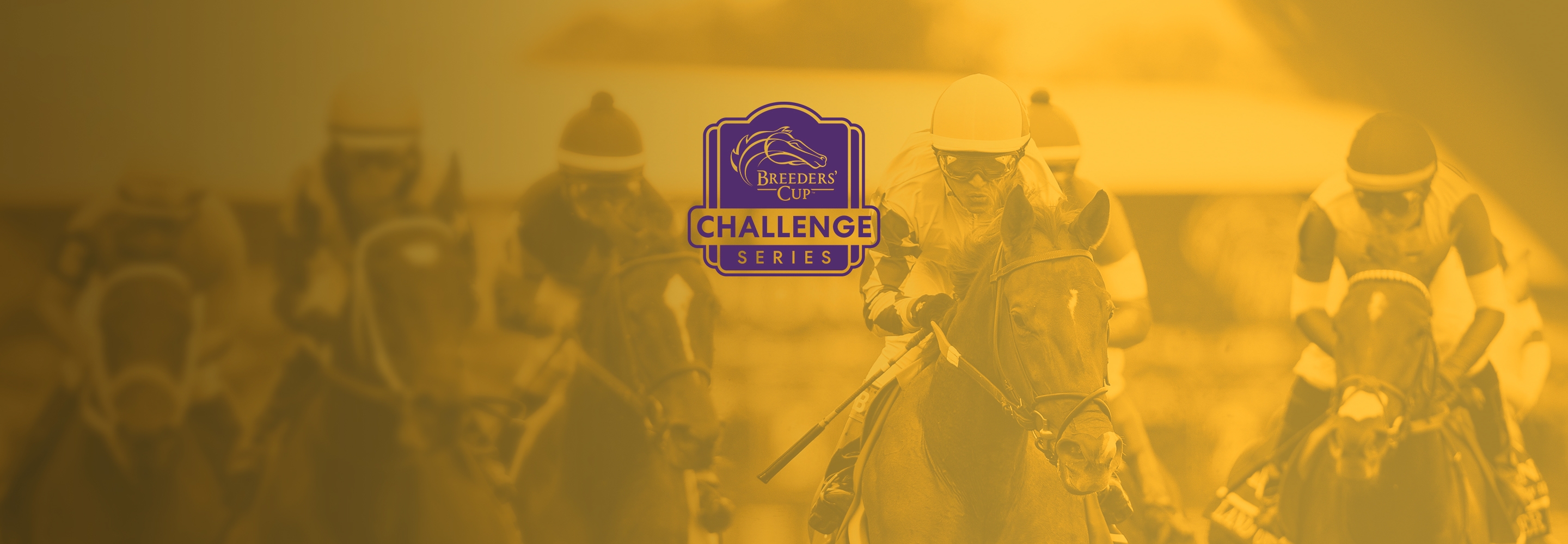 Sinsel Wins Grande Premio Brasil